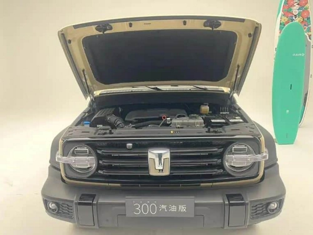 2025 BYD Tank 300 Engine Options Revealed!